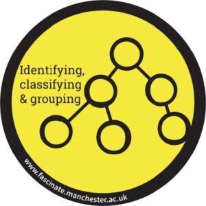 Science • New York Primary School